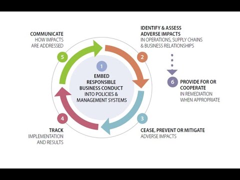 OECD Watch releases video explainers on the OECD Guidelines, due ...