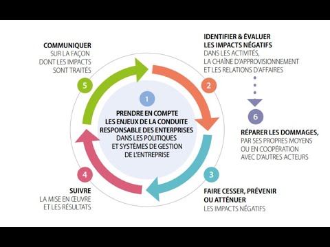 OECD Watch publie des vidéos explicatives sur les Principes directeurs ...